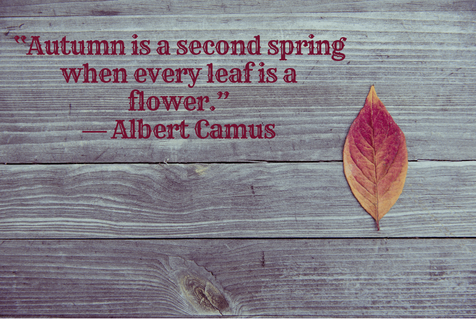 Fabulous Fall, Amazing Autumn – Welcome to the Online Home of Author ...